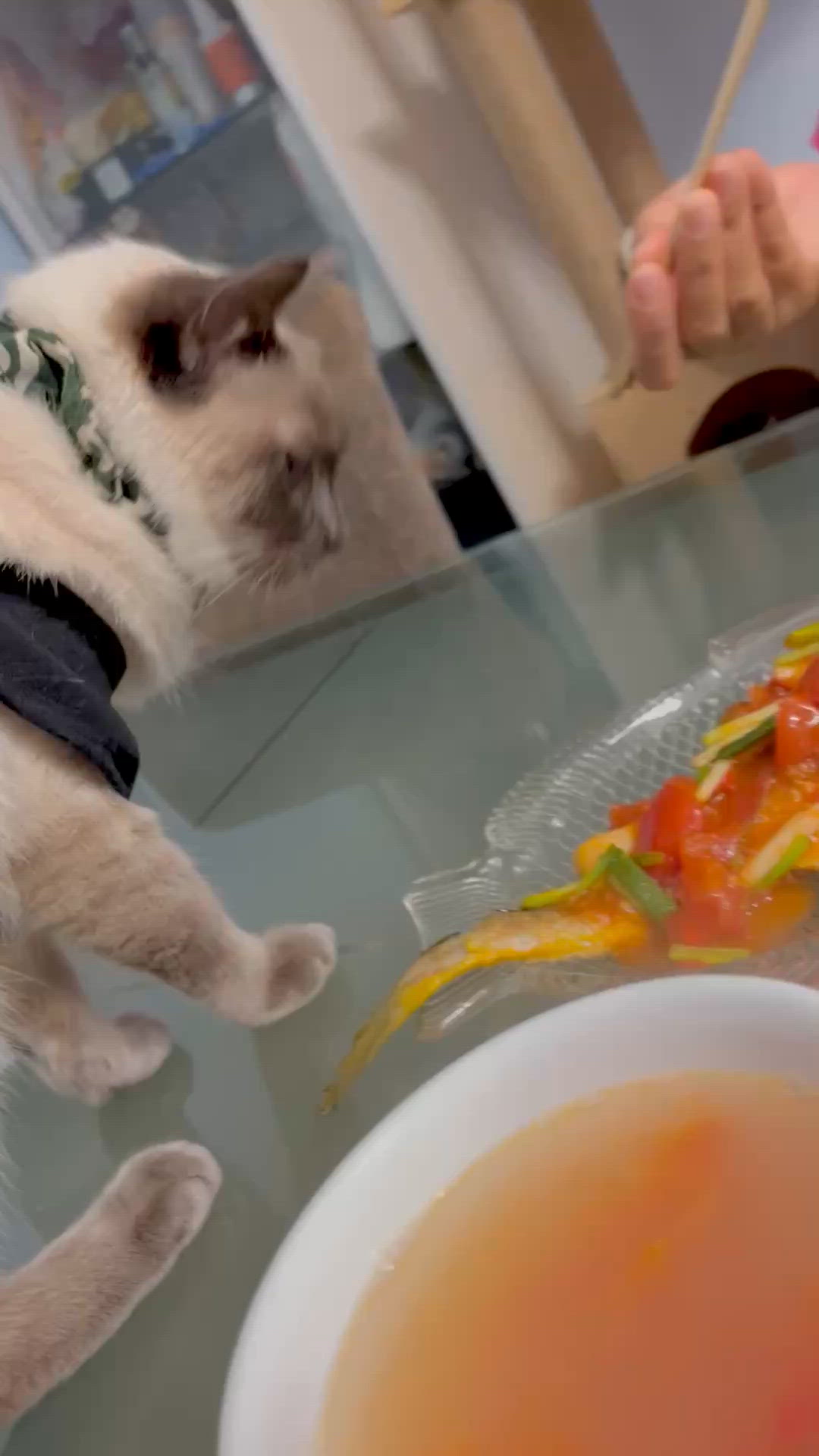 魚很美味 | U Lifestyle - 香港優惠及生活資訊平台