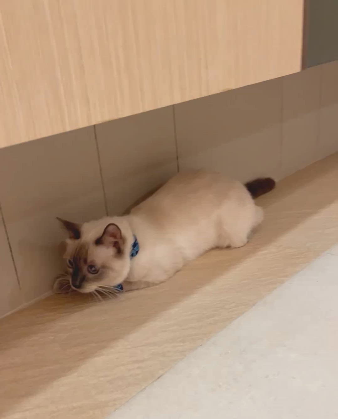 唔識返屋企 | U Lifestyle - 香港優惠及生活資訊平台