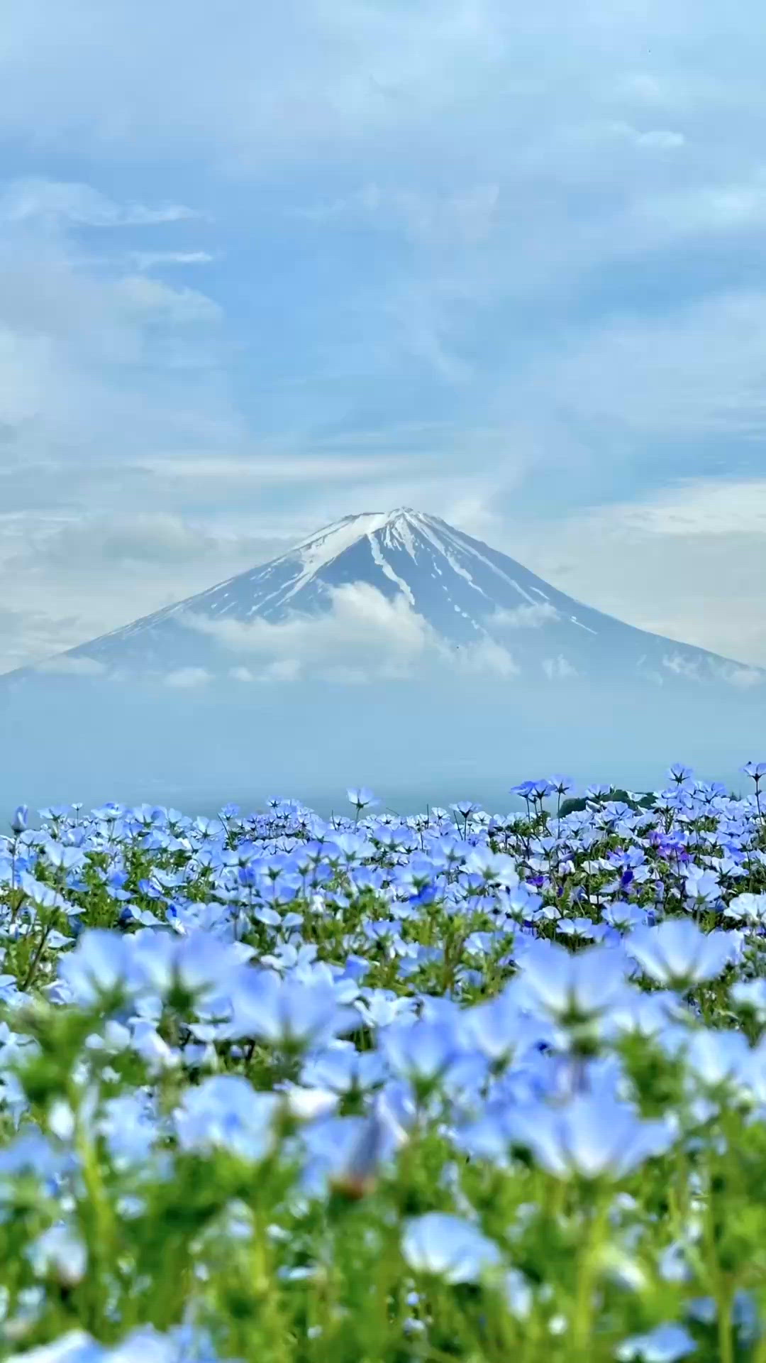 2024必定看到富士山的隱藏打卡位 | U Lifestyle - 香港優惠及生活資訊平台