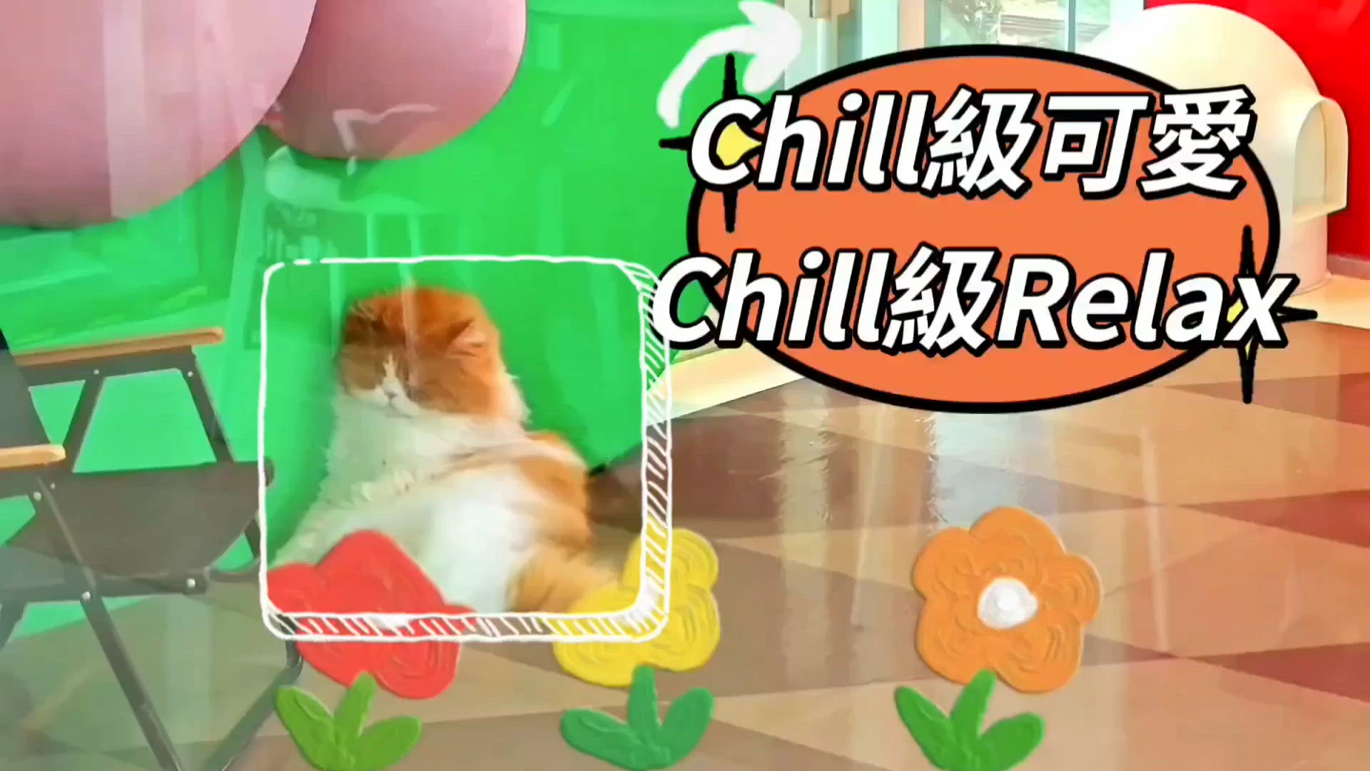 Chill級可愛！Chill級Relax！擼貓空間 | U Lifestyle - 香港優惠及生活資訊平台