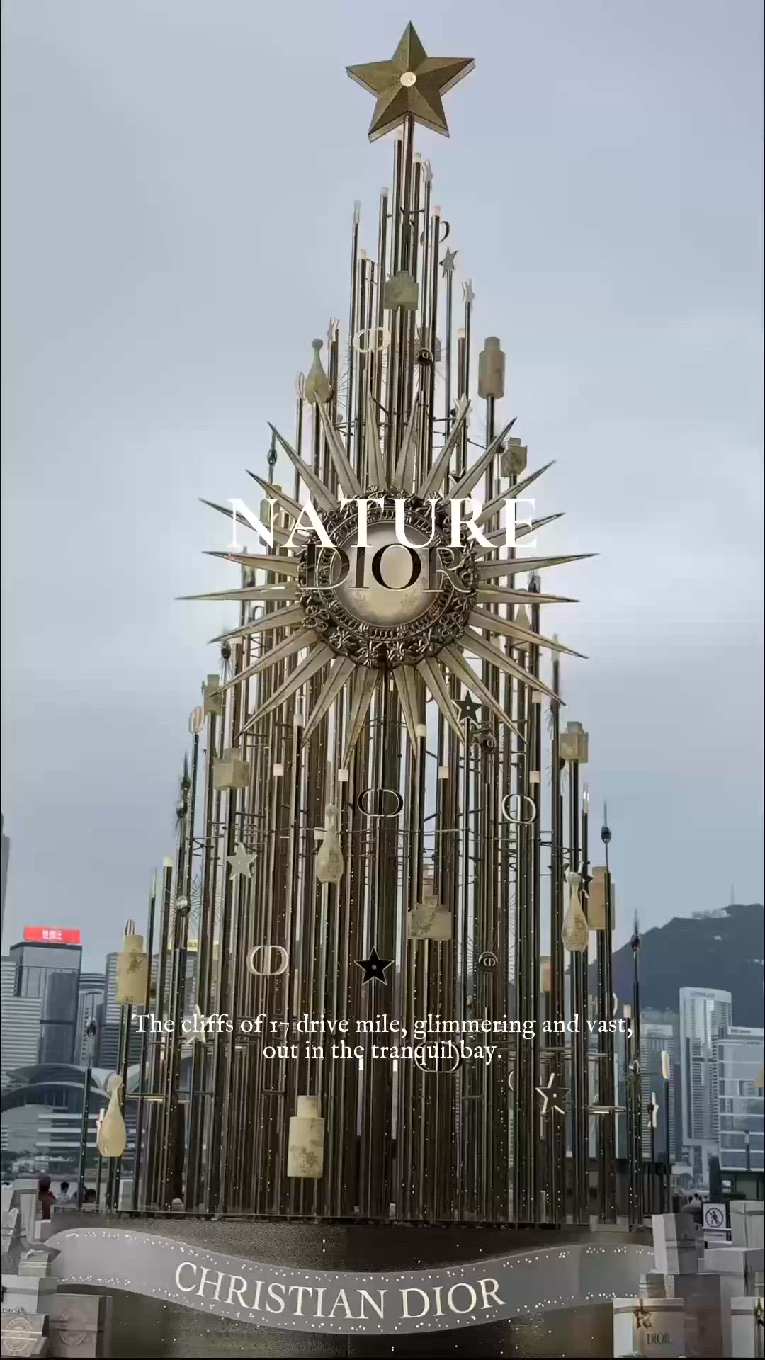 2024 Dior Xmas tree 出爐啦 | U Community 社群平台