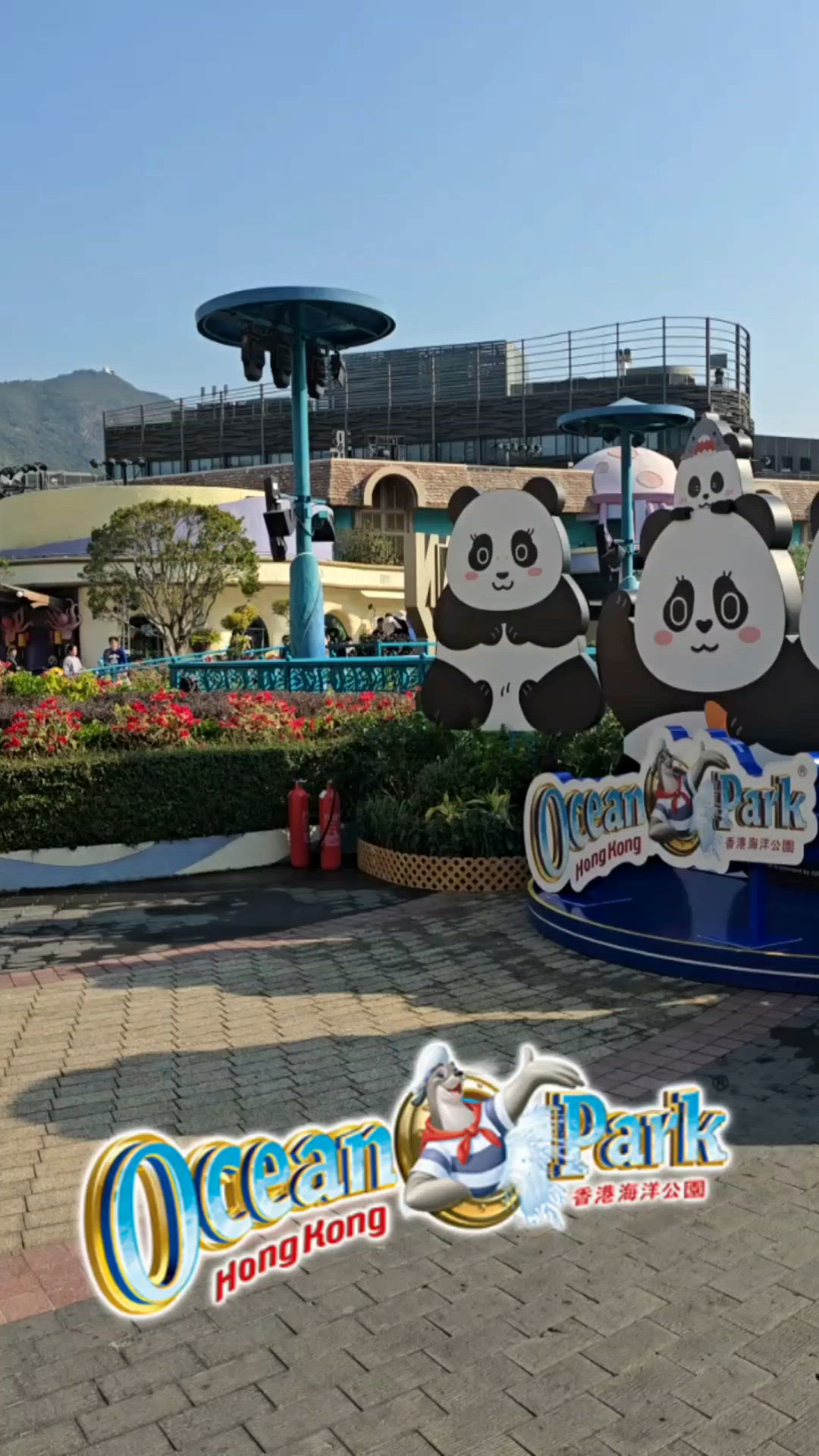 港產熊貓即將閃亮登場！@ 香港海洋公園 | U Lifestyle - 香港優惠及生活資訊平台